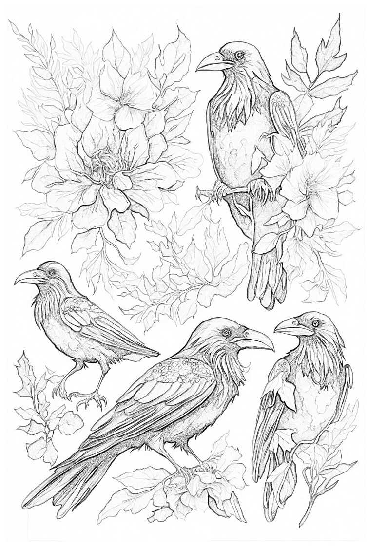 13 Creative Bird Instant Downloadable Digital Colouring Page - Etsy