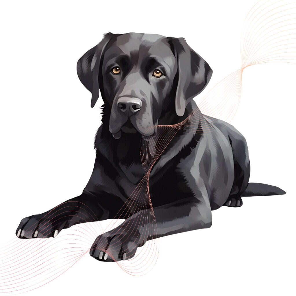 Black Labrador Clipart High-quality Transparent PNG Watercolor Dog ...