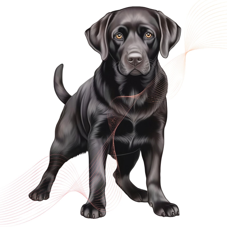 Black Labrador Clipart High-quality Transparent PNG Watercolor Dog ...