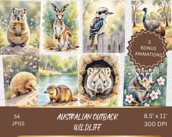 Australian Wildlife Watercolor Clipart Digital Downloads Outback ...