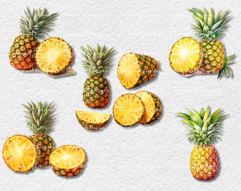 Watercolor Pineapple Clipart – 20 Tropical PNG Graphics (digital ...