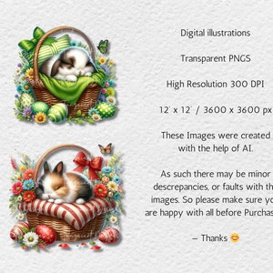 Easter Bunny in a Basket Clipart Bundle, Easter Clipart, Easter ...