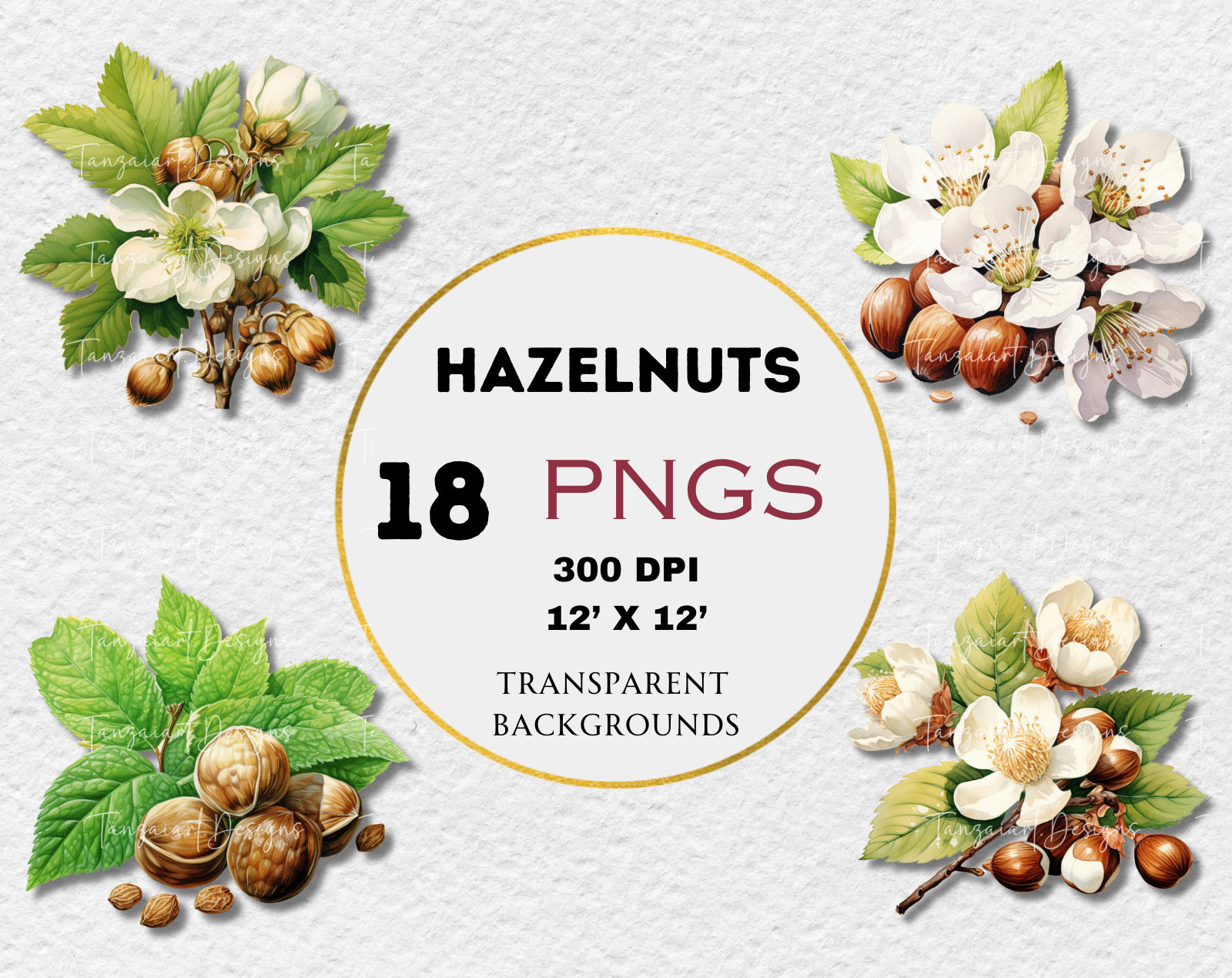 Watercolor Hazelnut Clipart - 18 High-resolution Pngs for Scrapbooking ...