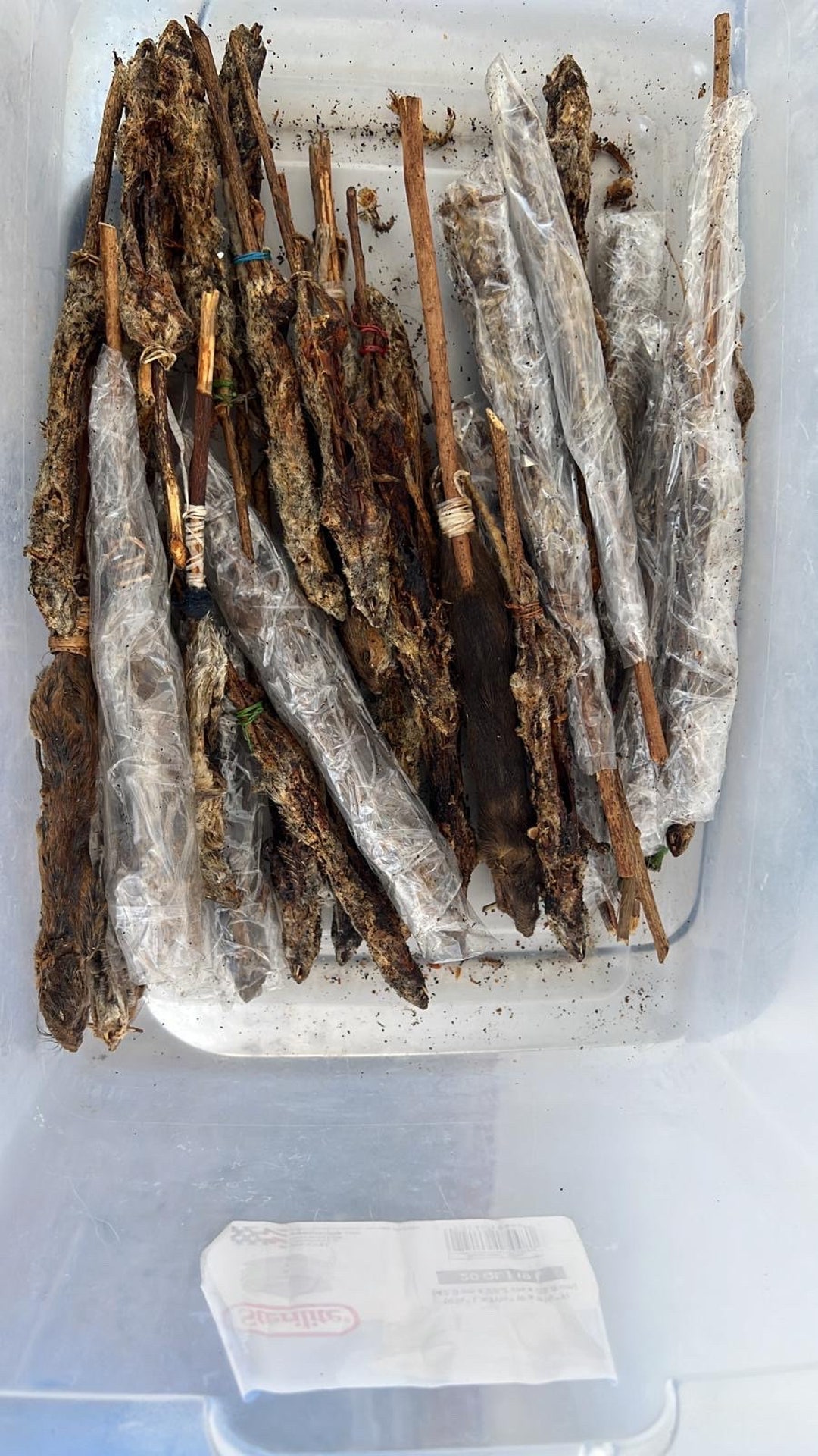 Eku Ifa Dried Rat for Ifa. - Etsy