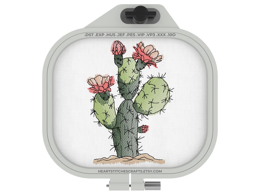 Blooming Cactus Machine Embroidery Design: 3 Sizes, 9 Formats (digital ...