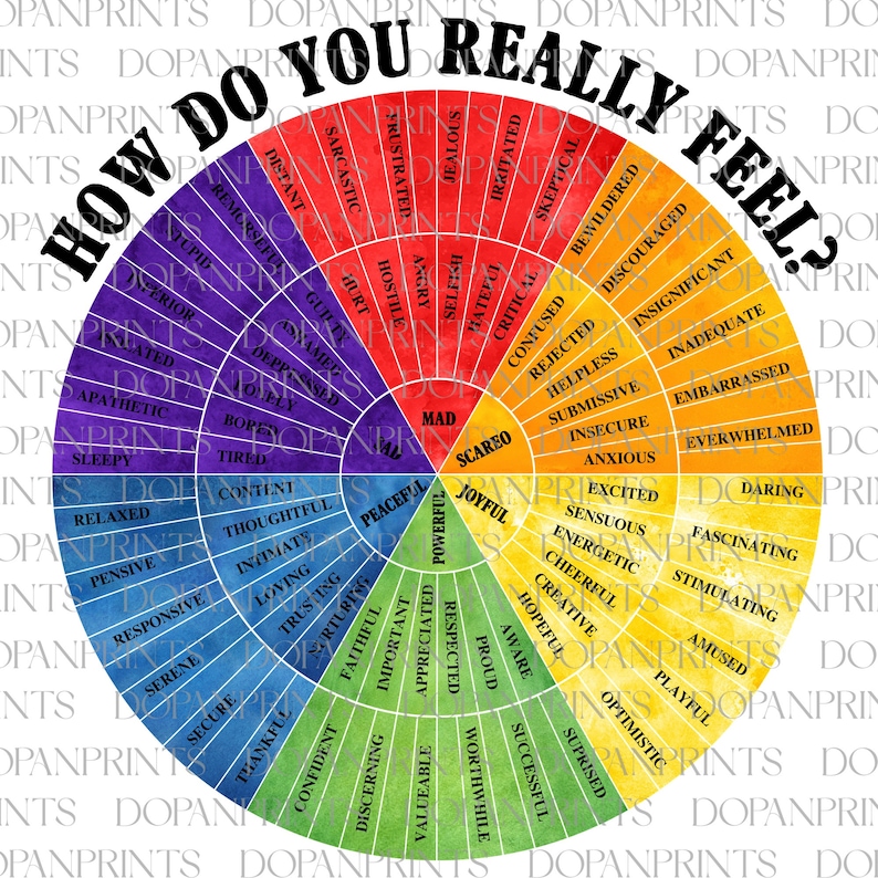 Your Feeling Feelings Wheel Png, Mental Health Png, Therapist ...