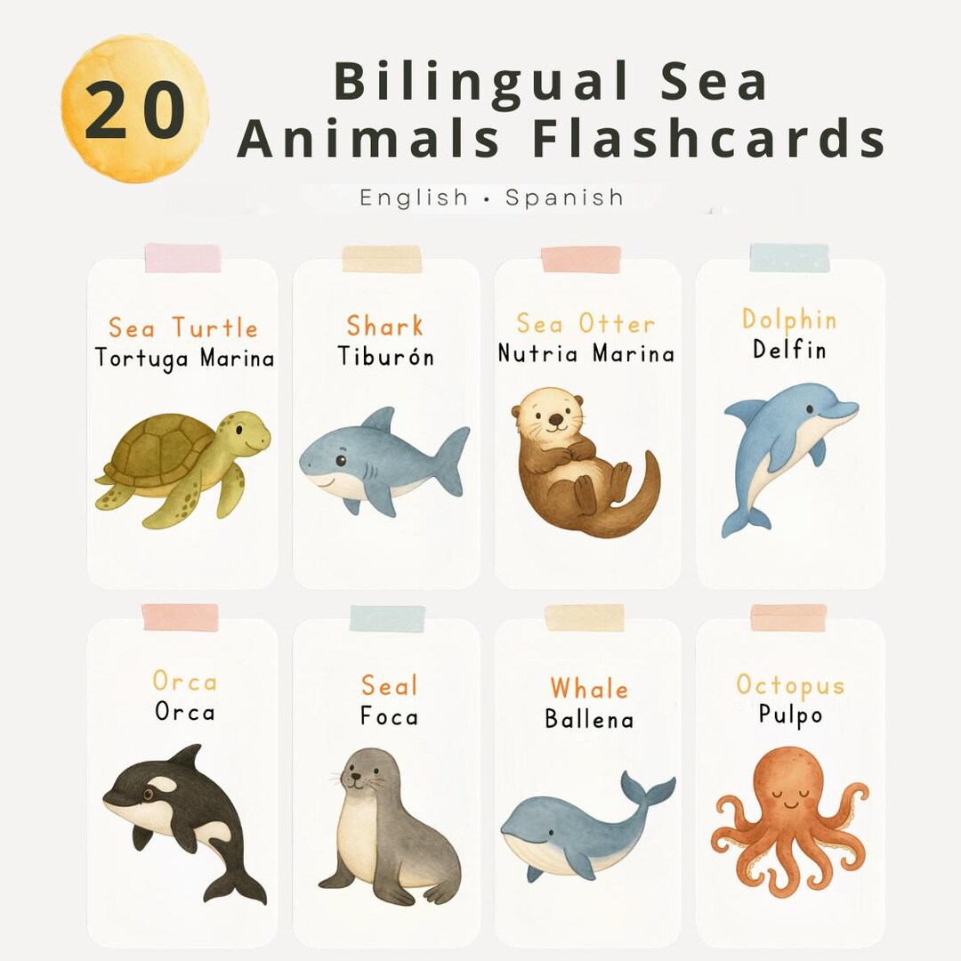 Bilingual Sea Animals Flashcards | English & Spanish Ocean Animal Cards ...