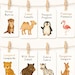 Bilingual Zoo Animals Flashcards | English & Spanish Vocabulary Cards ...