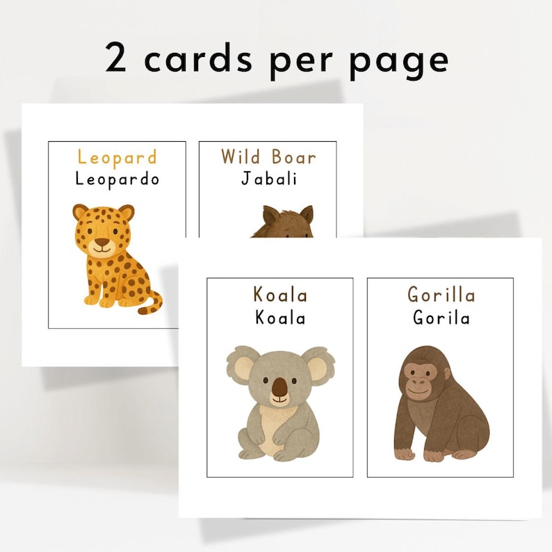 Bilingual Zoo Animals Flashcards | English & Spanish Vocabulary Cards ...