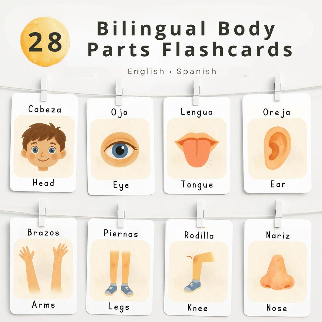 Bilingual Body Parts Flashcards for Kids | English & Spanish ...