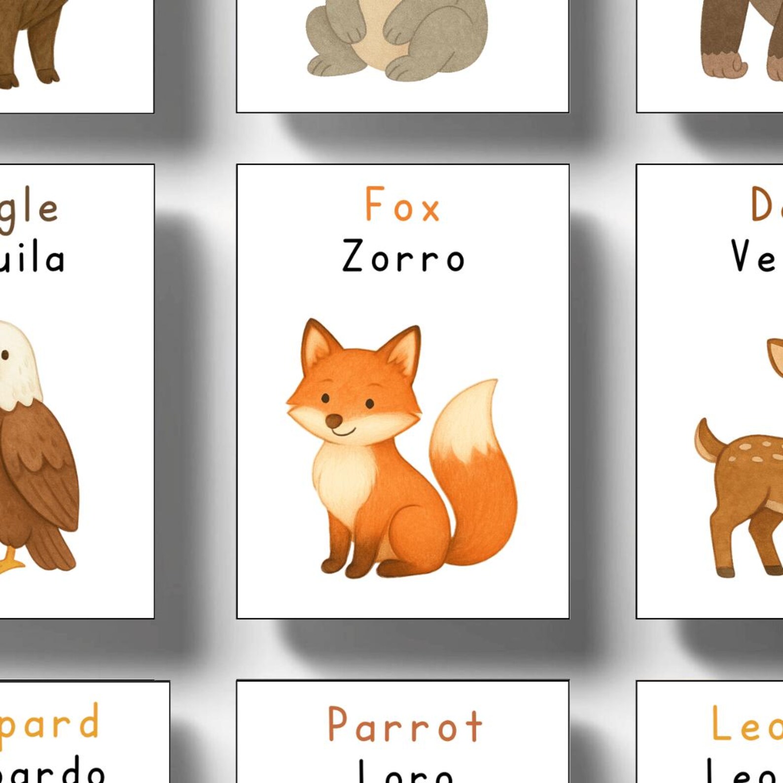 Bilingual Zoo Animals Flashcards | English & Spanish Vocabulary Cards ...