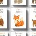 Bilingual Zoo Animals Flashcards | English & Spanish Vocabulary Cards ...
