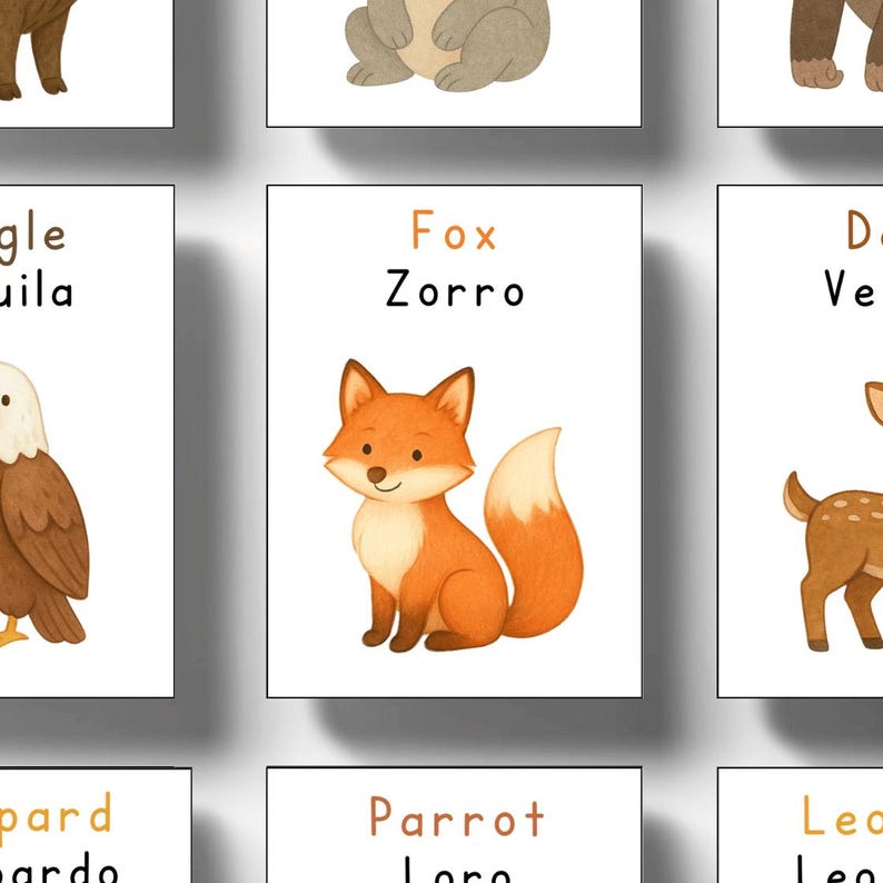 Bilingual Zoo Animals Flashcards | English & Spanish Vocabulary Cards ...