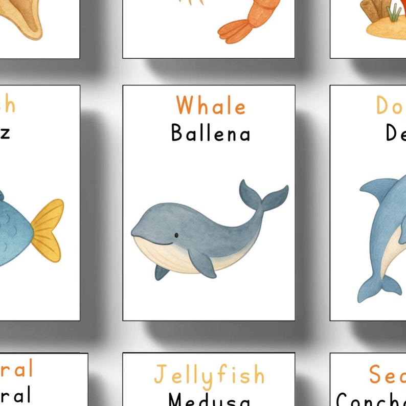 Bilingual Sea Animals Flashcards | English & Spanish Ocean Animal Cards ...
