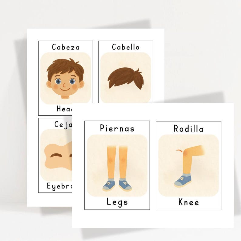 Bilingual Body Parts Flashcards for Kids | English & Spanish ...
