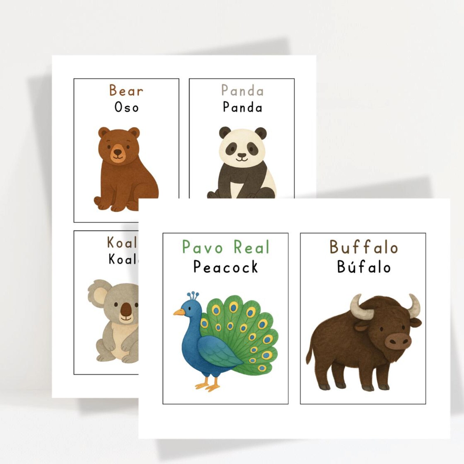 Bilingual Zoo Animals Flashcards | English & Spanish Vocabulary Cards ...