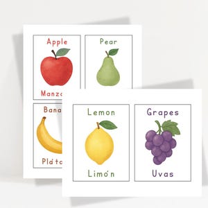 Bilingual Fruit Flashcards | English & Spanish Food Cards for Kids ...