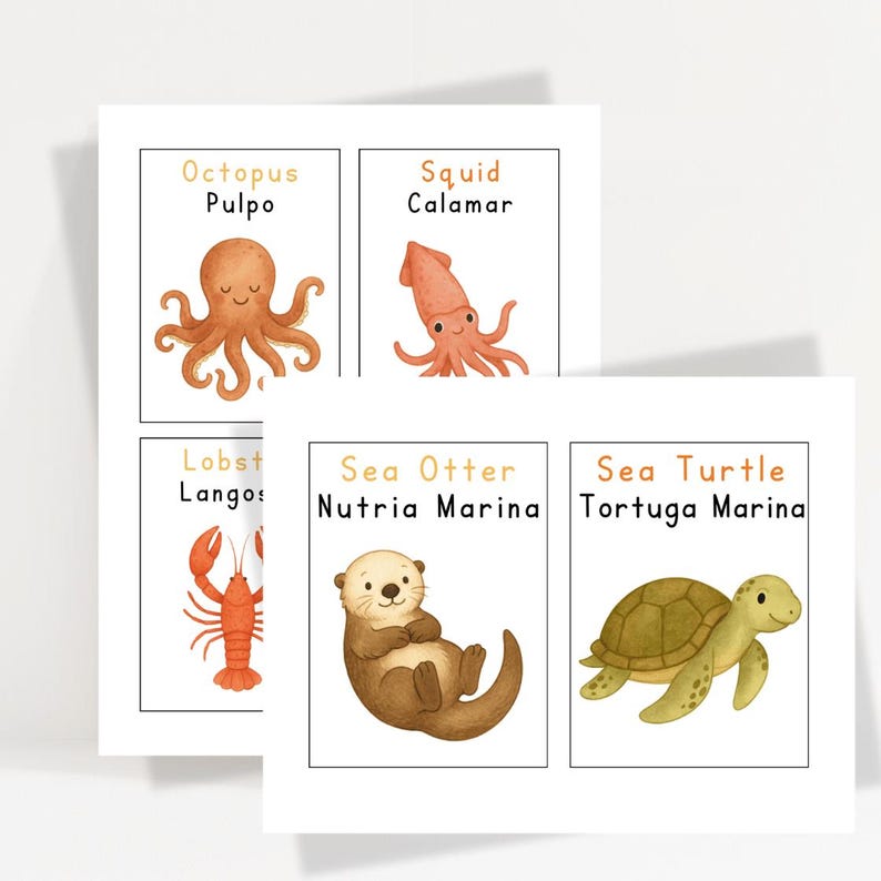 Bilingual Sea Animals Flashcards | English & Spanish Ocean Animal Cards ...