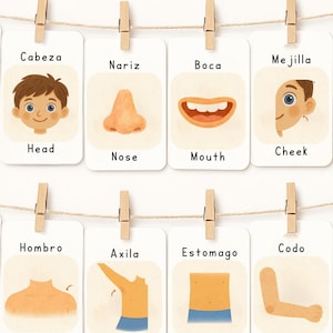 Bilingual Body Parts Flashcards for Kids | English & Spanish ...