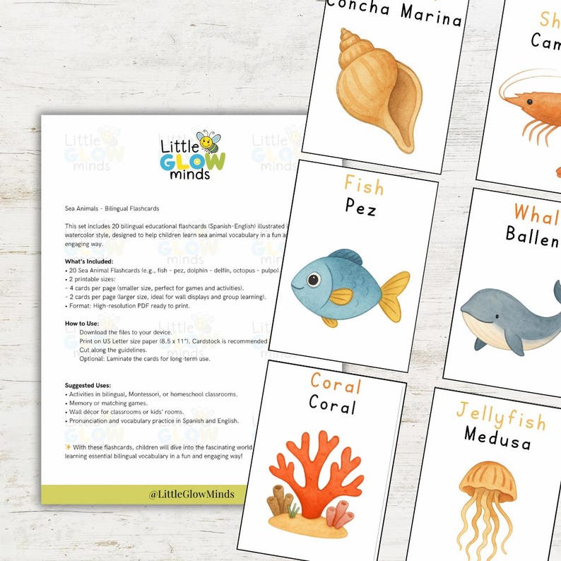 Bilingual Sea Animals Flashcards | English & Spanish Ocean Animal Cards ...