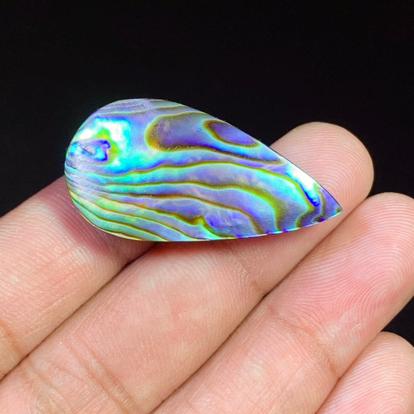 100% Natural Abalone Shell, Multi Fire Abalone Shell, Rainbow Fire ...