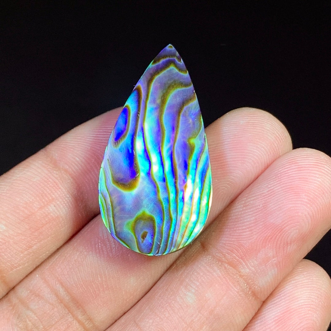 100% Natural Abalone Shell, Multi Fire Abalone Shell, Rainbow Fire ...