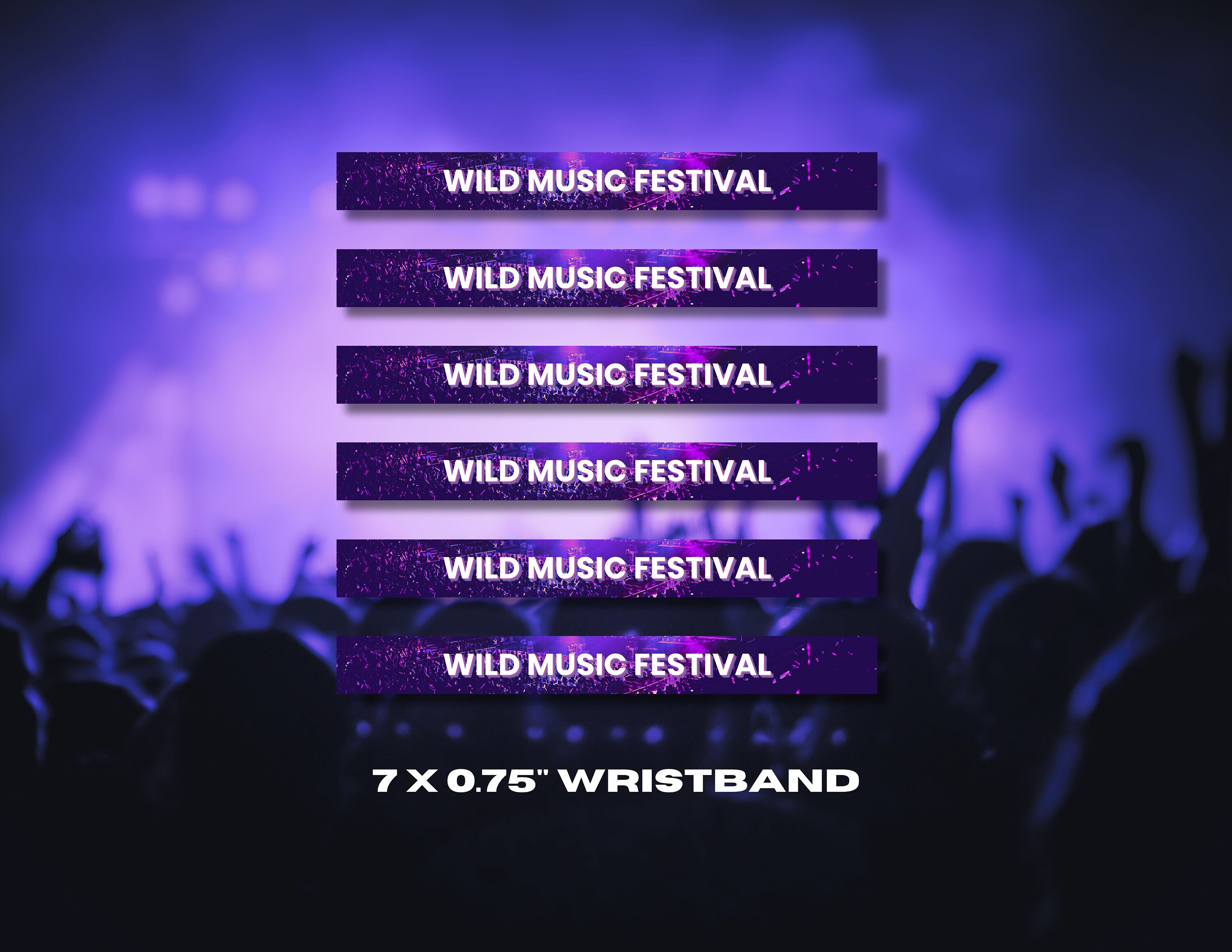 Printable Music Festival Kit, Concert Flyer, VIP Pass (canva Template ...