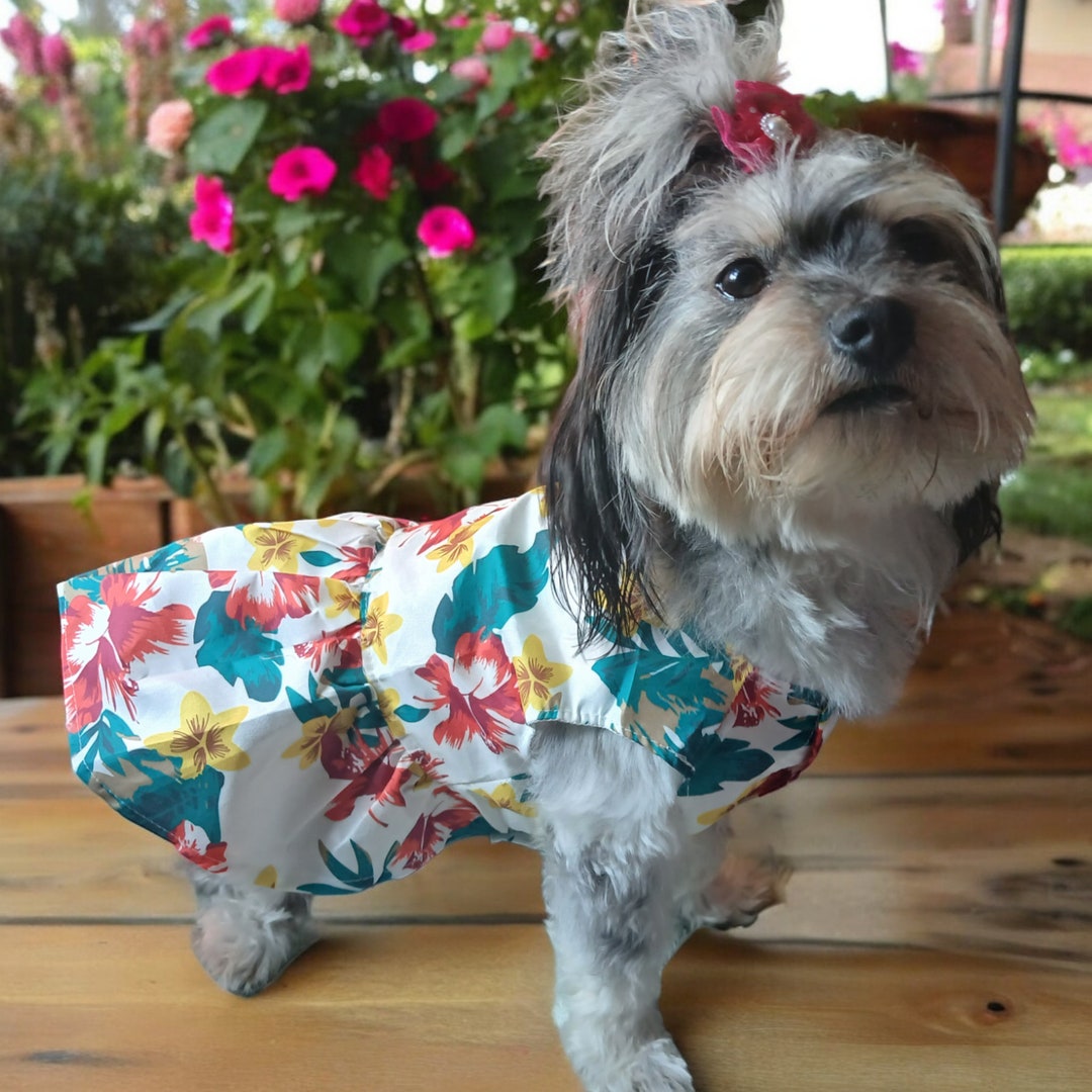 Tropical Floral Dog Dress With Snap Closure, Lightweight Summer Dog ...