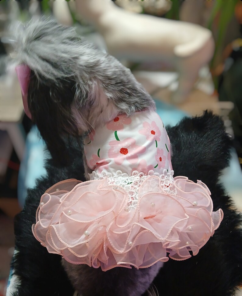 Pastel Pink Dog Tutu Dress With Big Bow – Fancy Floral Dog Birthday ...