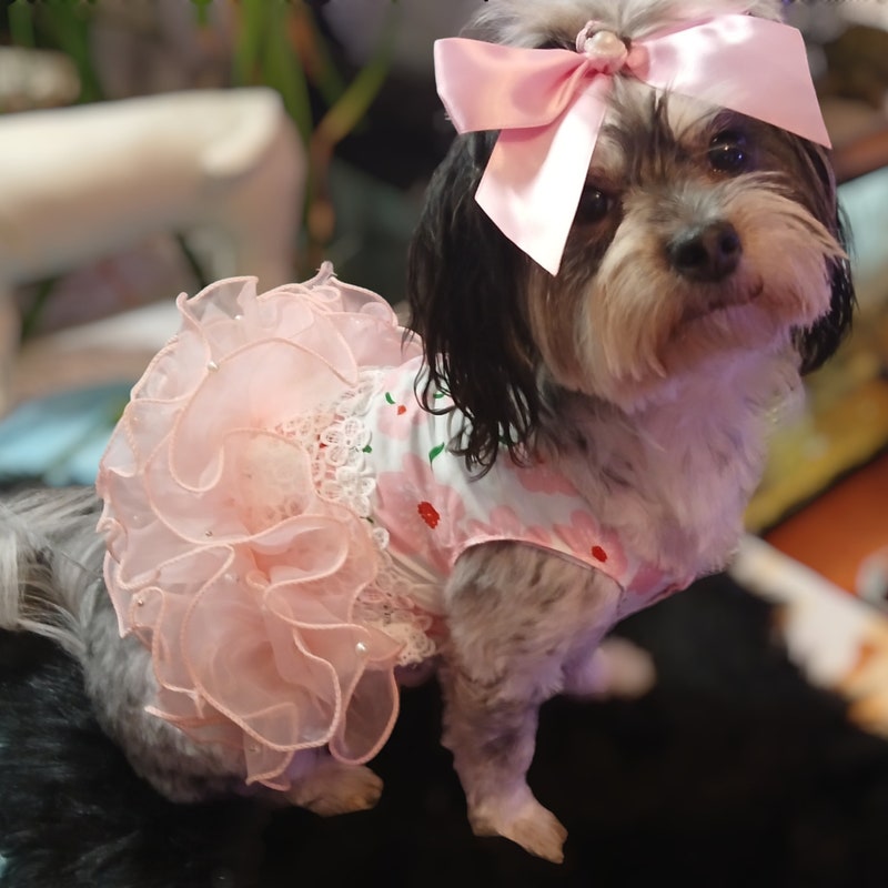 Little Dog Dress - Etsy