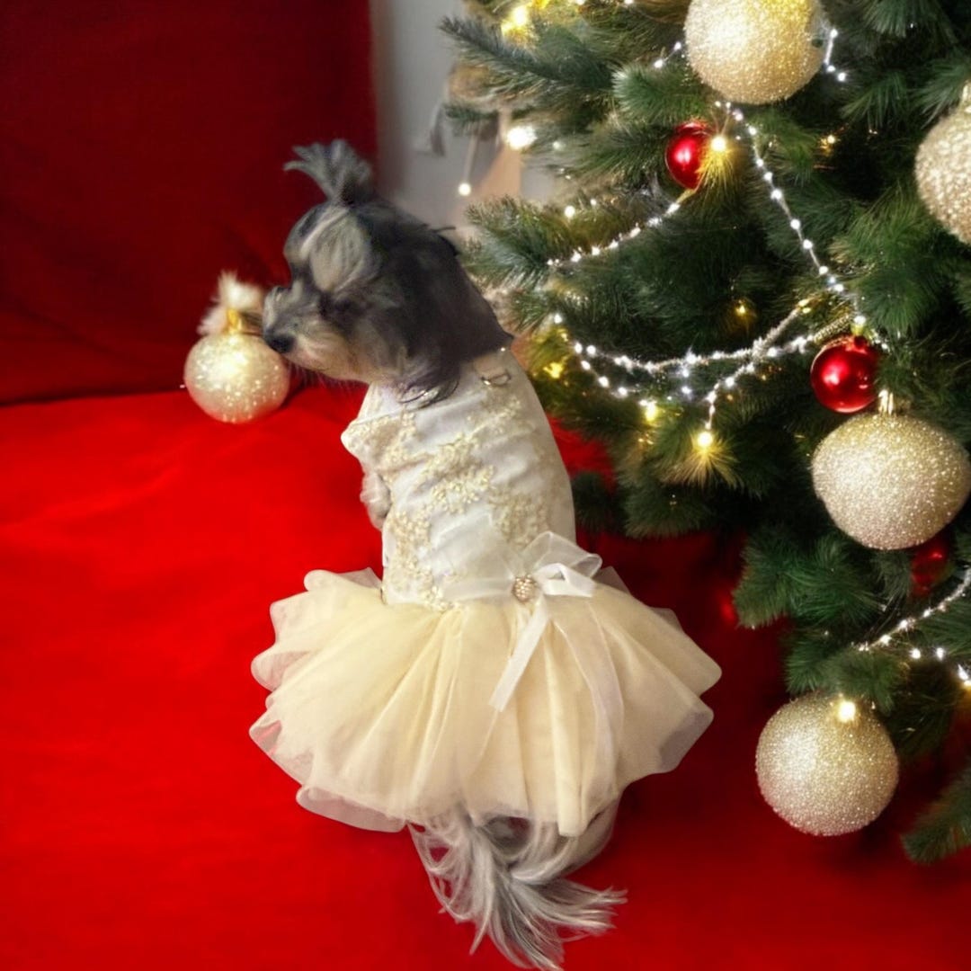 Elegant White and Gold Dog Dress for Small Dogs – Lace Tulle Pet Dress ...
