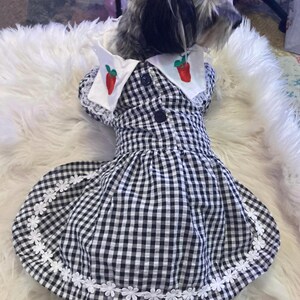 Black & White Checkered Summer Dress Embroidered Apple Collar, Designer ...