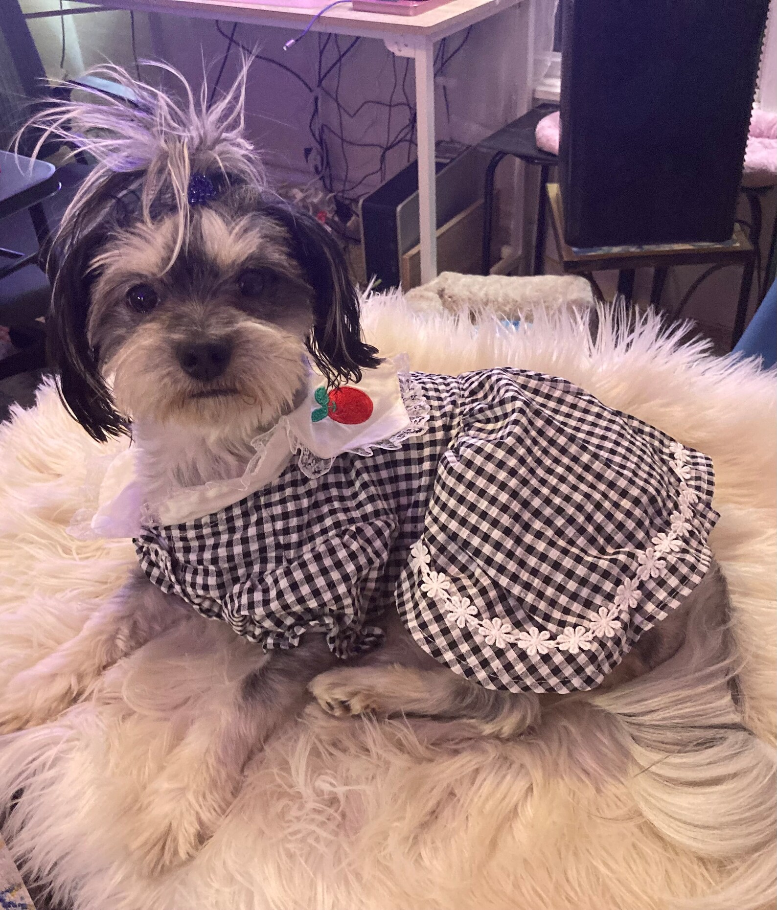 Black & White Checkered Summer Dress Embroidered Apple Collar, Designer ...