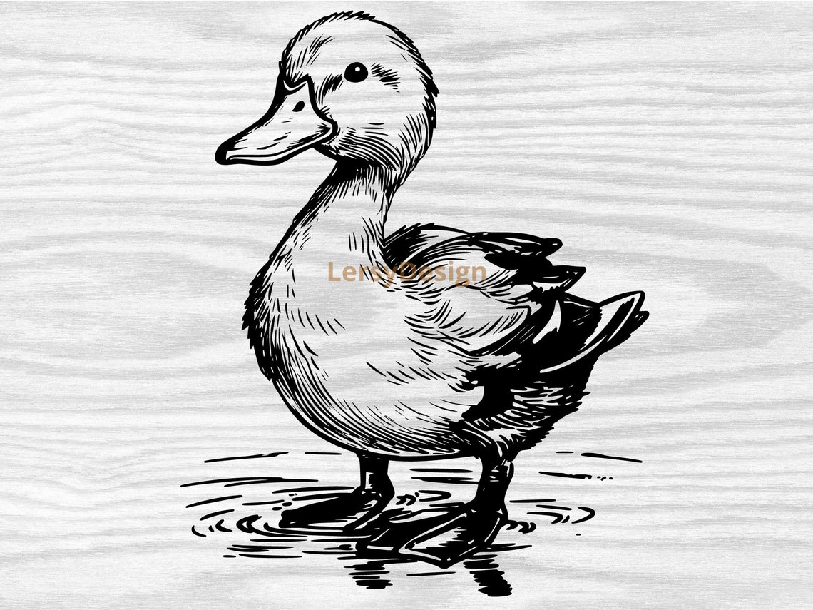 Duck Clipart Vector File Svg Instant Download Baby Duck Files for ...