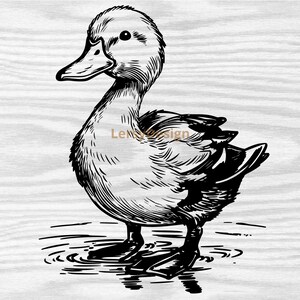 Duck Clipart Vector File Svg Instant Download Baby Duck Files for ...