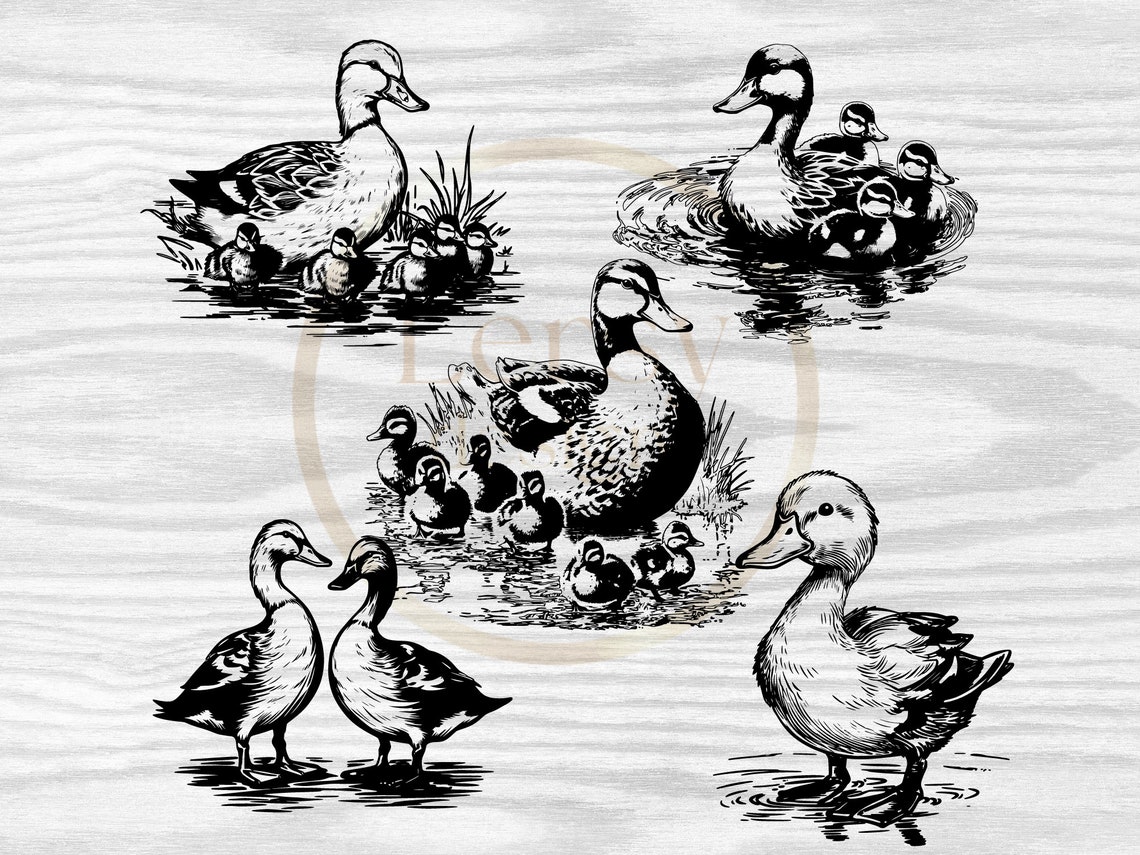 Duck Clipart Vector File Svg Instant Download Baby Duck Files for ...
