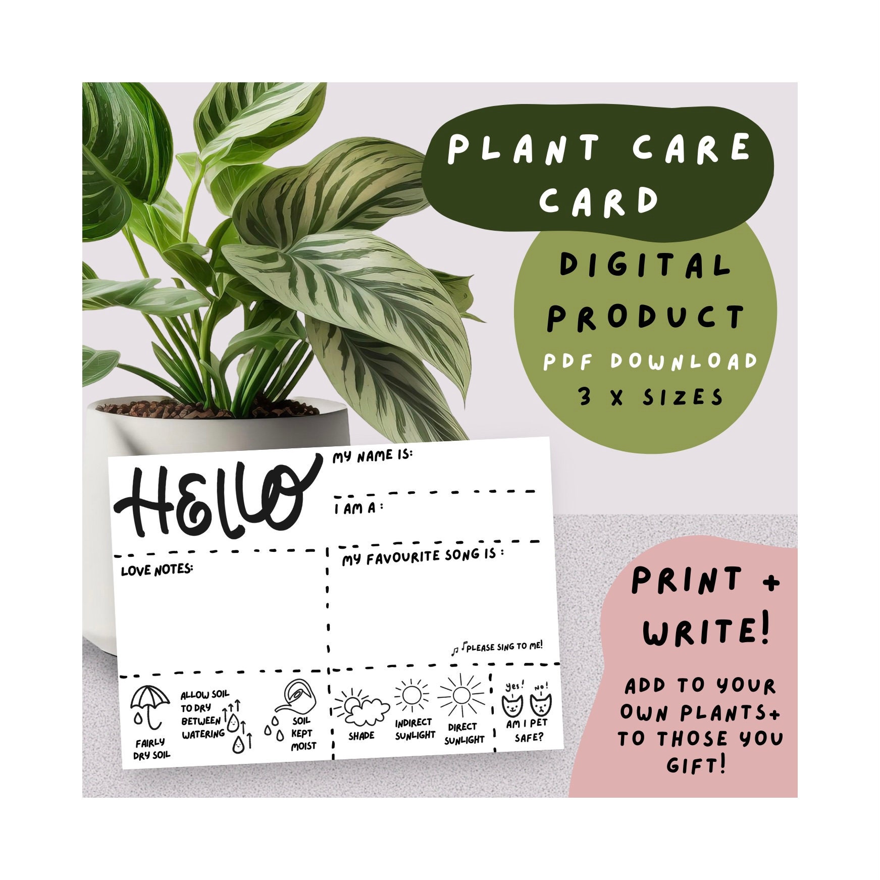 PLANT CARE CARDS | Plant Passport | Digital Product | Pdf Download ...