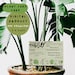 PLANT CARE CARDS | Plant Passport | Digital Product | Pdf Download ...
