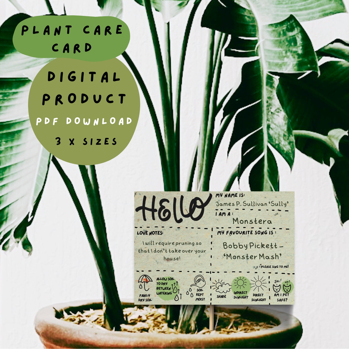 PLANT CARE CARDS | Plant Passport | Digital Product | Pdf Download ...