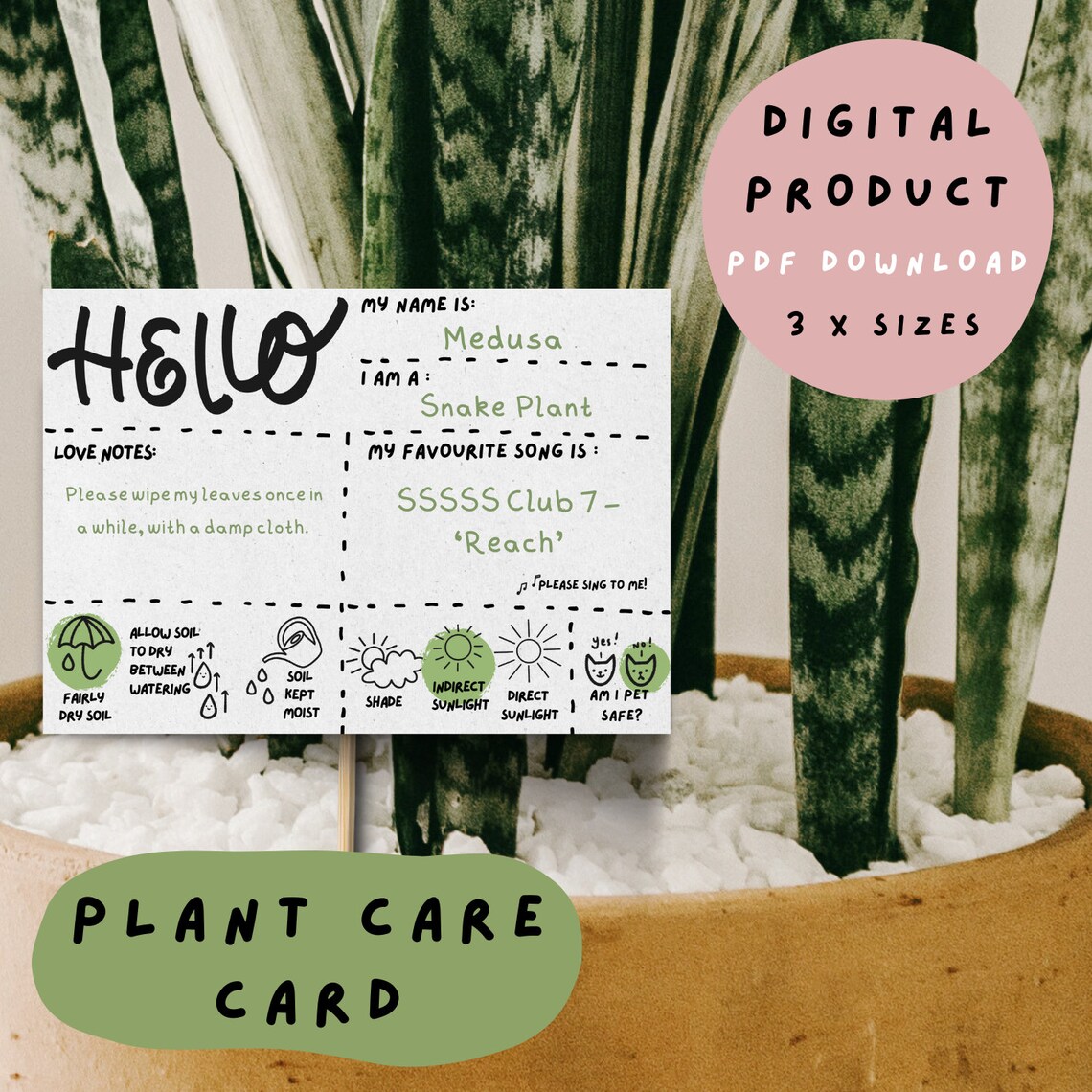 PLANT CARE CARDS | Plant Passport | Digital Product | Pdf Download ...
