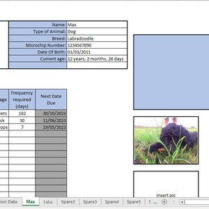 Pet Medication Tracker - Etsy