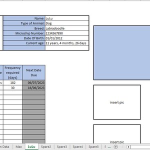 Pet Medication Tracker - Etsy
