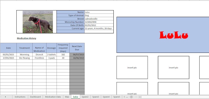 Pet Medication Tracker - Etsy
