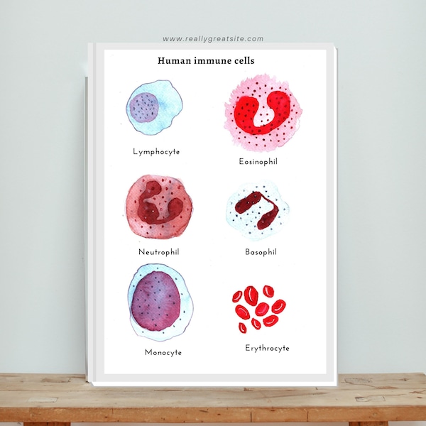 Human Cell Art - Etsy