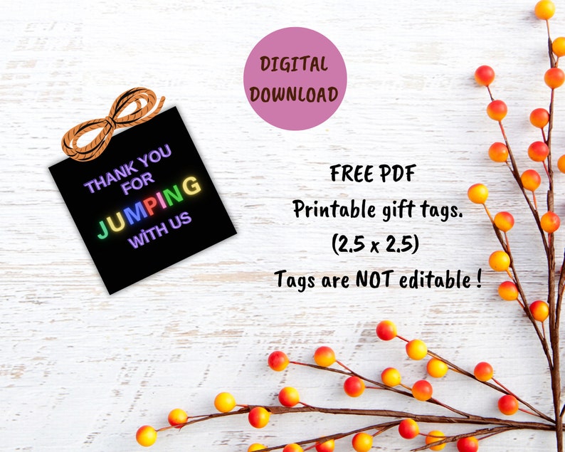 EDITABLE Jump Birthday Party Invitation, Trampoline Park Invitation ...