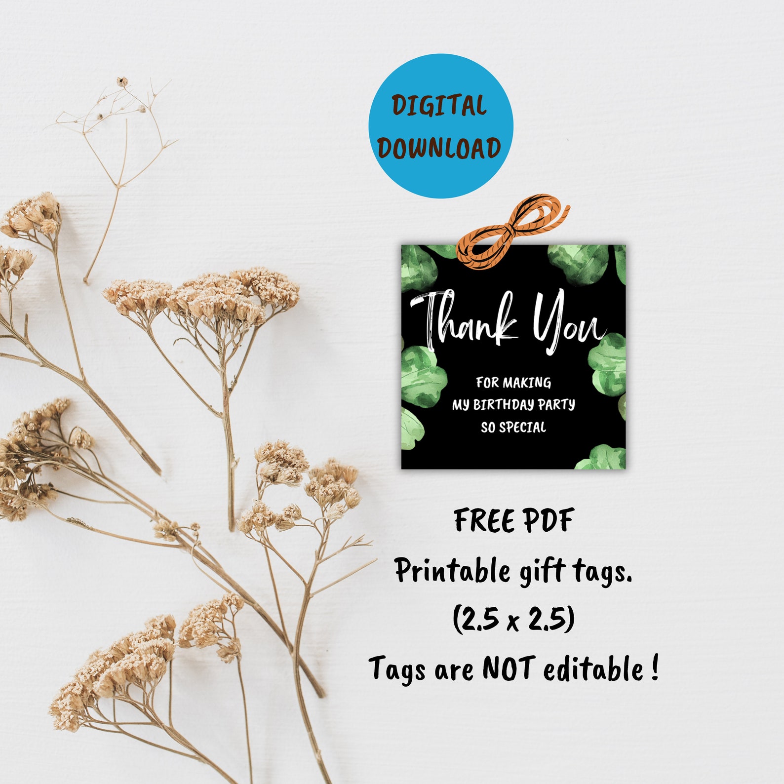 EDITABLE Shamrock Birthday Invitation Set, St. Patrick's Birthday Party ...