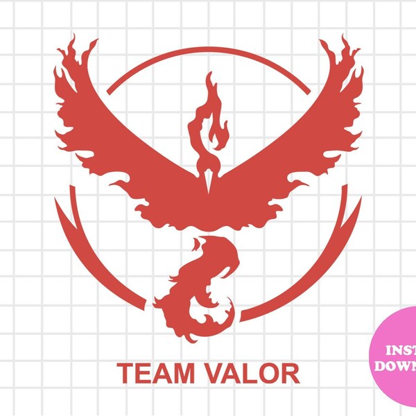 Team Valor - Etsy