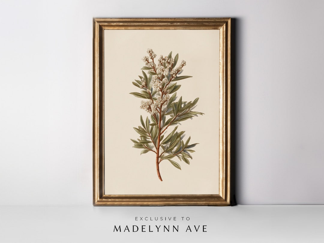 Mistletoe Art Print, Vintage Christmas Art, Simple Holiday Art, Winter ...