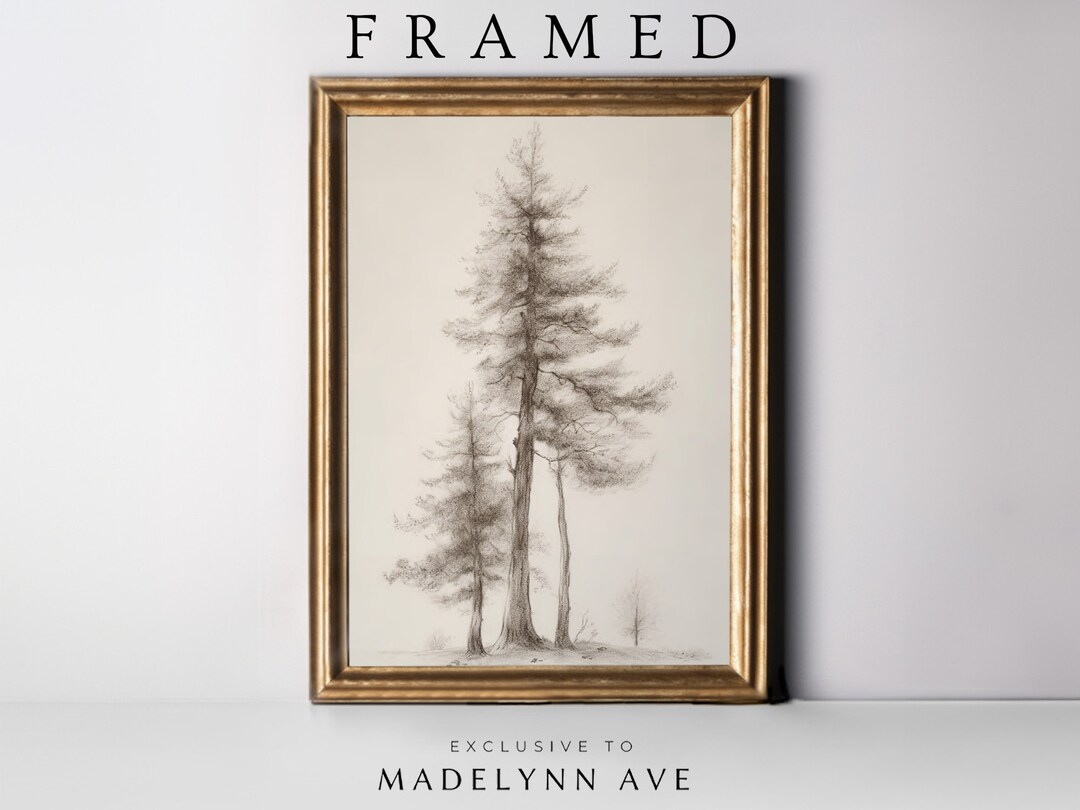 Framed Modern Pine Tree Art Print, Framed Abstract Pines Sketch, Framed ...