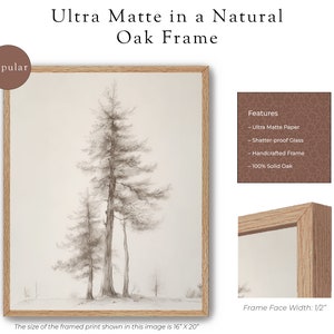 Framed Modern Pine Tree Art Print, Framed Abstract Pines Sketch, Framed ...